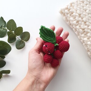 Grapes Baby Gym Toys 1 Pc - Rattles Play Gym,baby Shower, Fruits Play ...