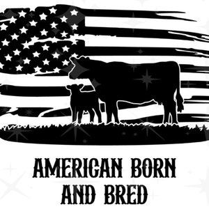 Born and Bred, Distressed Flag, Cows, SVG and Transparent PNG - Etsy