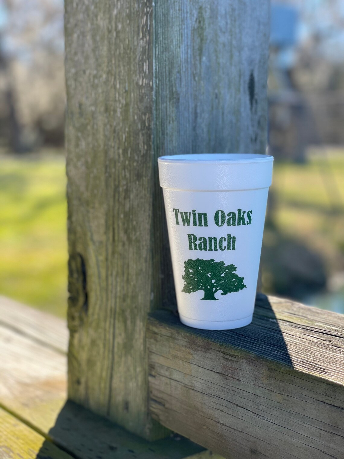 Personalized Ranch Styrofoam Cups. Disposable Cups. Cowboy Boot Themed ...