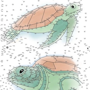 Sea Turtle Dot-to-dot / Connect the Dots PDF - Etsy
