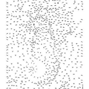Animal Extreme Difficulty Dot-to-dot / Connect the Dots Vol. 2 PDF - Etsy