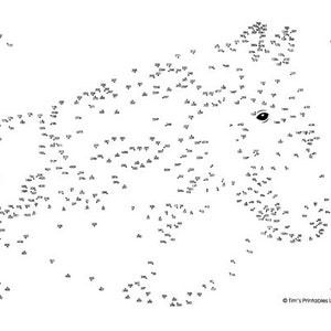 Animal Extreme Difficulty Dot-to-dot / Connect the Dots Vol. 2 PDF - Etsy
