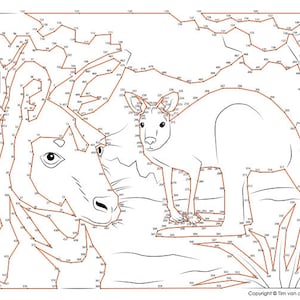 Kangaroo Dot-to-dot / Connect the Dots PDF - 500 Dots - Etsy