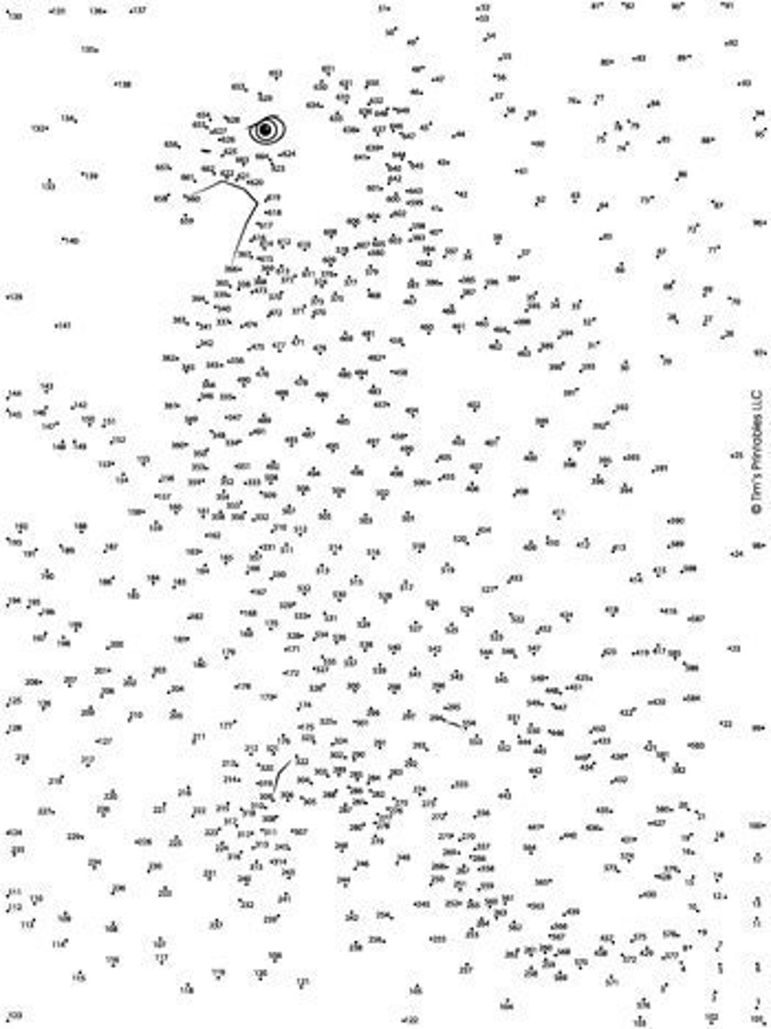 Bald Eagle Dot-to-dot / Connect the Dots PDF - Etsy