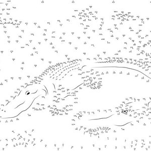 Alligator Dot-to-dot / Connect the Dots PDF - Etsy