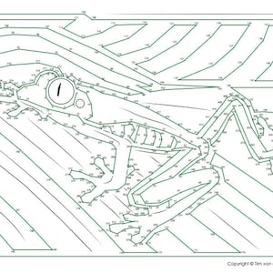 Red-eyed Tree Frog Dot-to-dot / Connect the Dots - 423 Dots - Etsy