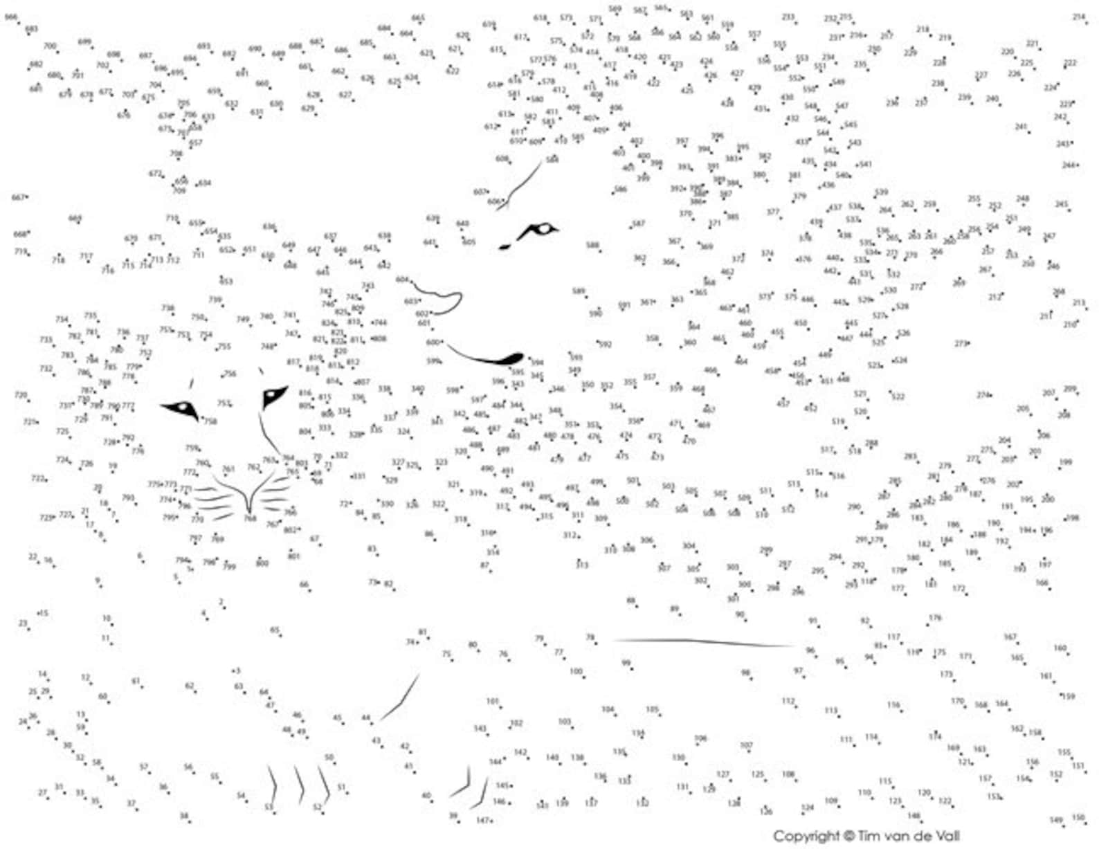 Lion Dot-to-dot / Connect the Dots - 825 Dots - Etsy