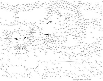 Tiger Dot-to-dot / Connect the Dots 680 Dots - Etsy