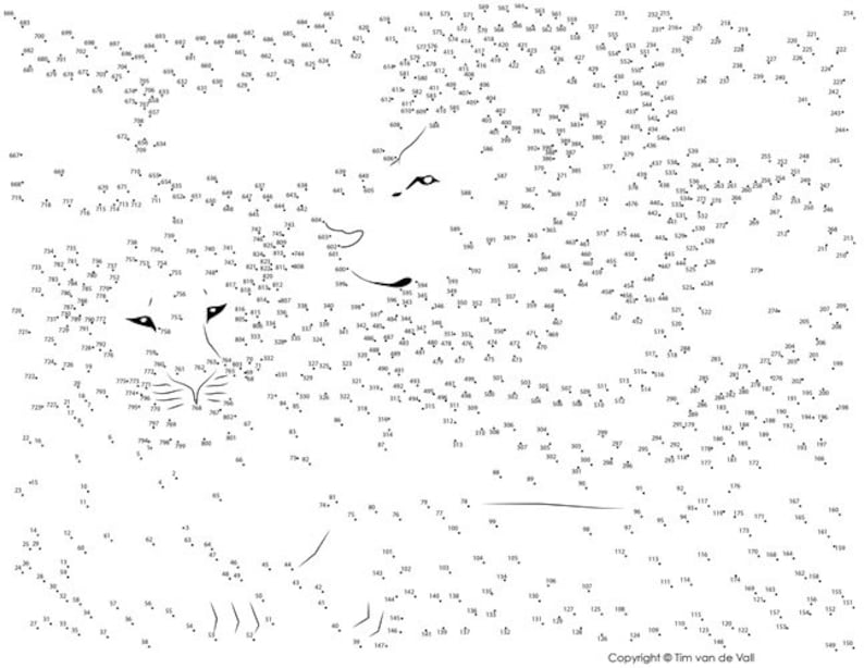 Lion Dot-to-dot / Connect the Dots - 825 Dots - Etsy