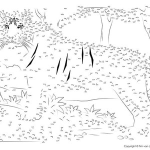 Tiger Dot-to-dot / Connect the Dots - 680 Dots - Etsy