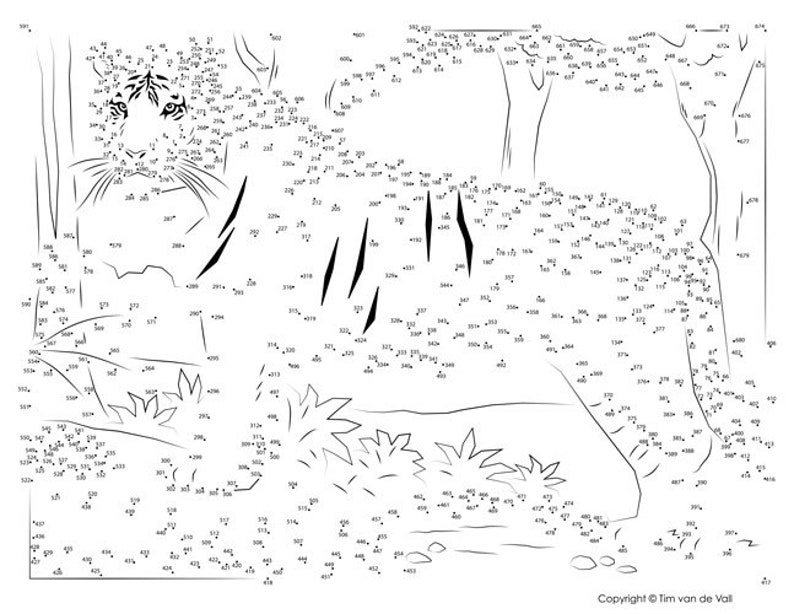 Tiger Dot-to-dot / Connect the Dots - 680 Dots - Etsy
