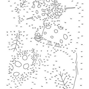 Animal Extreme Difficulty Dot-to-dot / Connect the Dots Vol. 3 PDF - Etsy