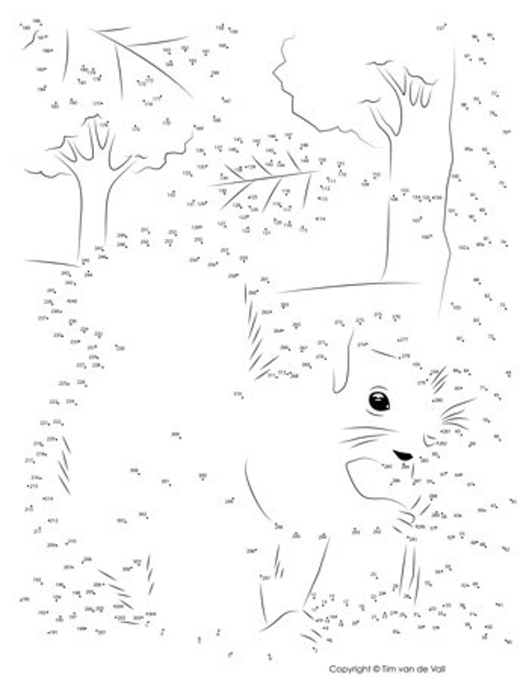 Squirrel Dot-to-dot / Connect the Dots PDF - Etsy