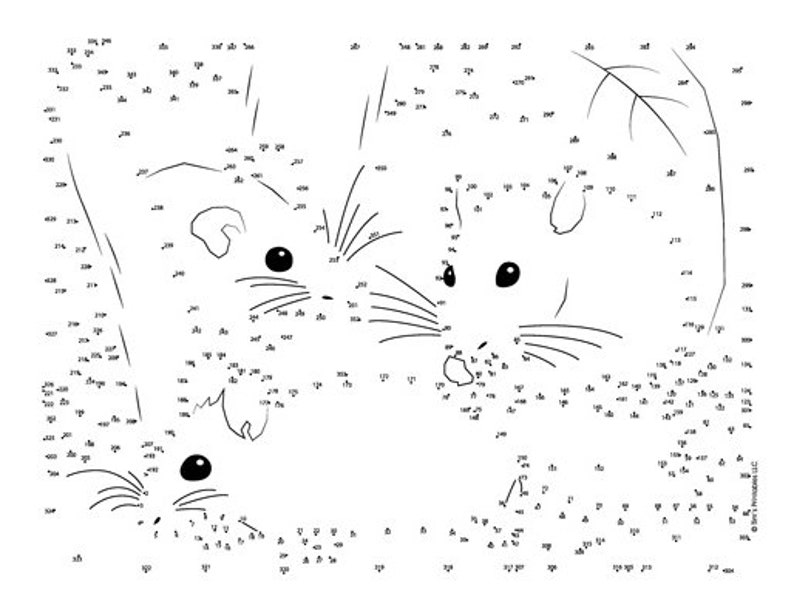 Animal Extreme Difficulty Dot-to-dot / Connect the Dots Vol. 2 PDF - Etsy