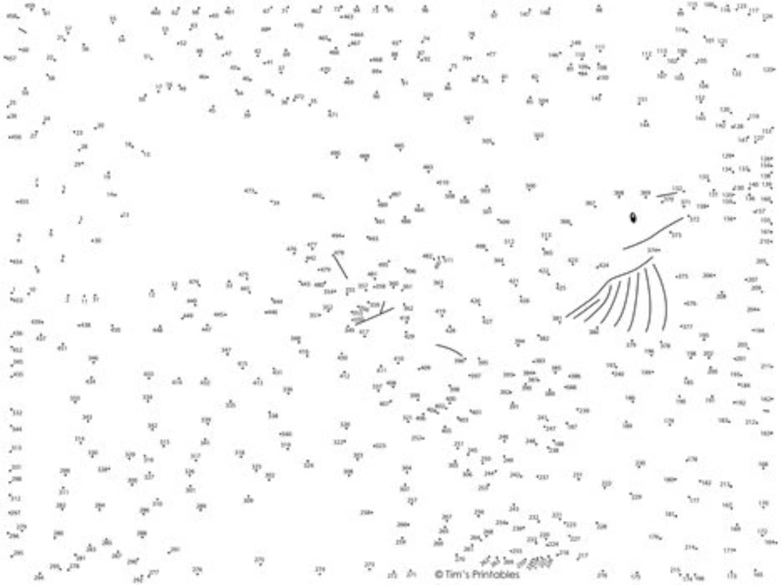 Lizard Extreme Difficulty Dot-to-dot / Connect the Dots PDF - Etsy