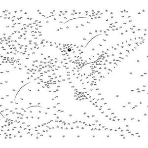 Animal Extreme Difficulty Dot-to-dot / Connect the Dots Vol. 3 PDF - Etsy