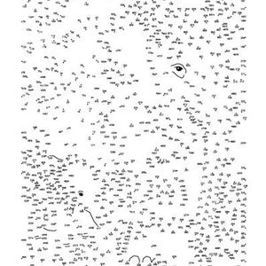 Animal Extreme Difficulty Dot-to-dot / Connect the Dots Vol. 4 PDF - Etsy