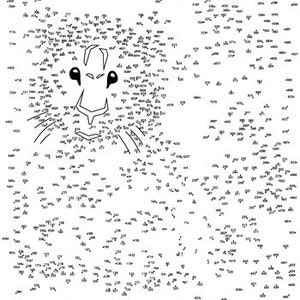 Tiger Cub Dot-to-dot / Connect the Dots PDF - Etsy