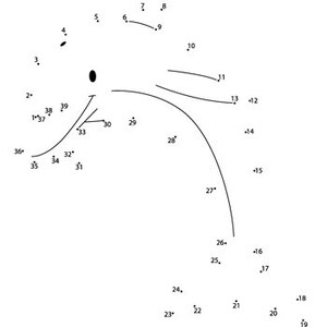 Animal Easy & Medium Difficulty Dot-to-dot PDF Packet - 24 Activities ...