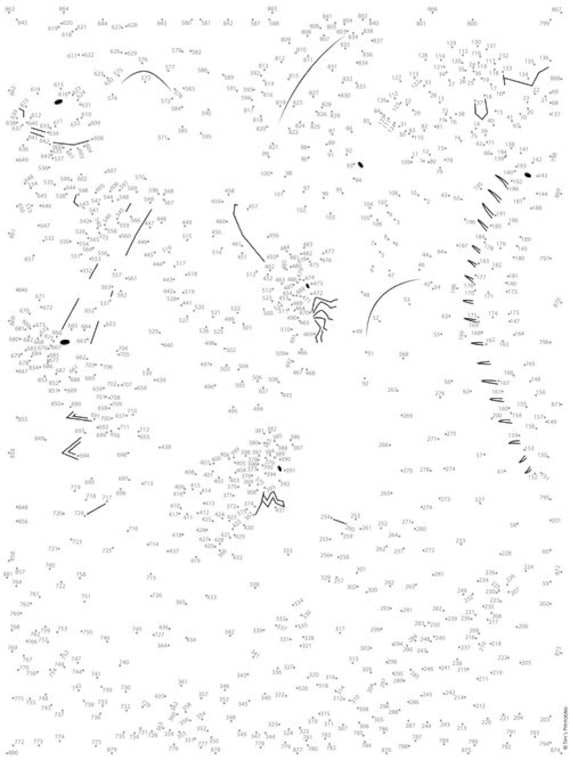 Insect Dot-to-dot / Connect the Dots PDF 881 Dots | Etsy