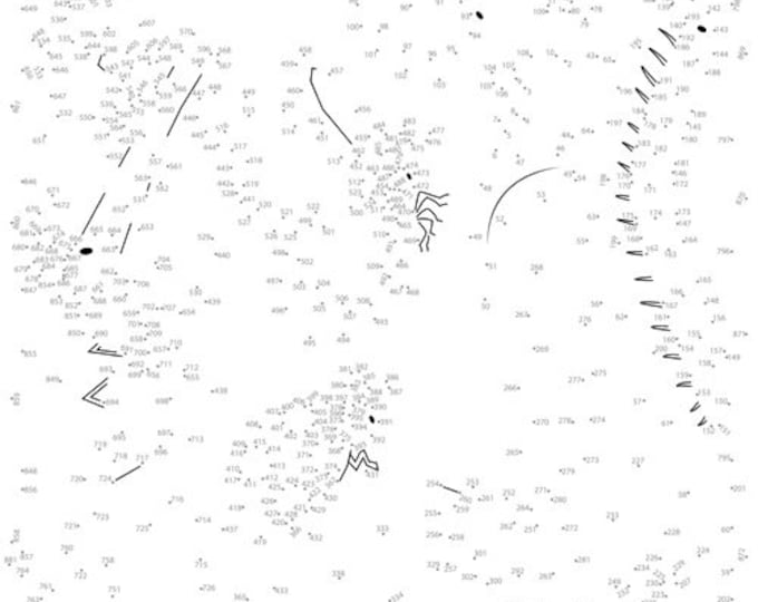 Insect Dot-to-dot / Connect the Dots PDF 881 Dots - Etsy