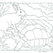 Tortoise and Hare Fable Dot-to-dot / Connect the Dots PDF - Etsy