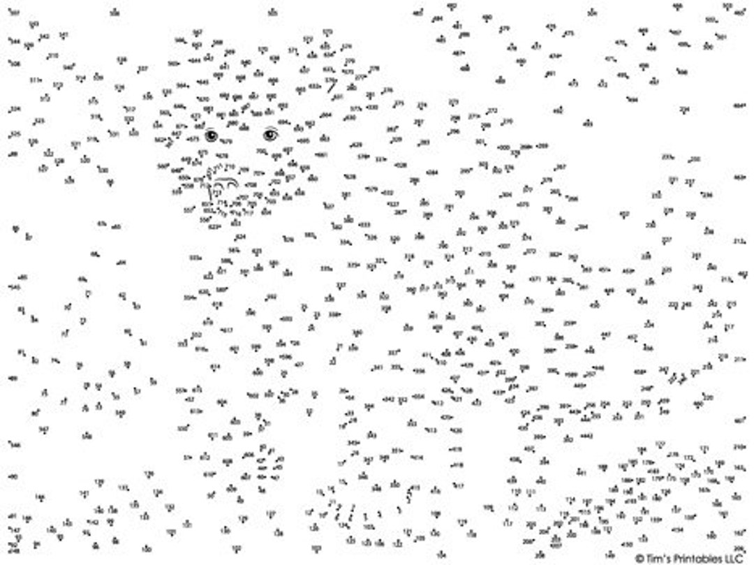 Grizzly Bear Extreme Difficulty Dot-to-dot / Connect the Dots PDF - Etsy