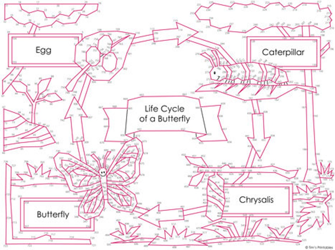 Life Cycle of a Butterfly Extreme Difficulty Dot-to-dot / Connect the ...