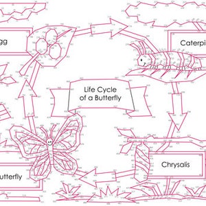 Life Cycle of a Butterfly Extreme Difficulty Dot-to-dot / Connect the ...