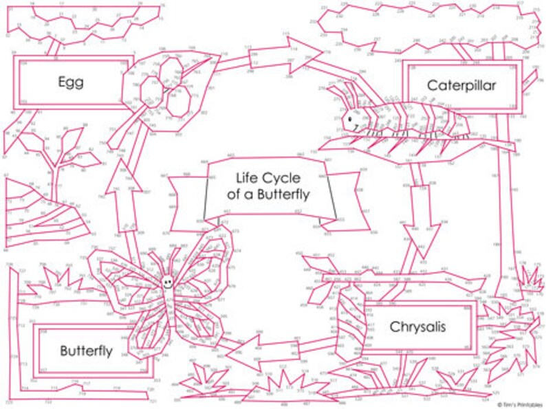Life Cycle of a Butterfly Extreme Difficulty Dot-to-dot / Connect the ...