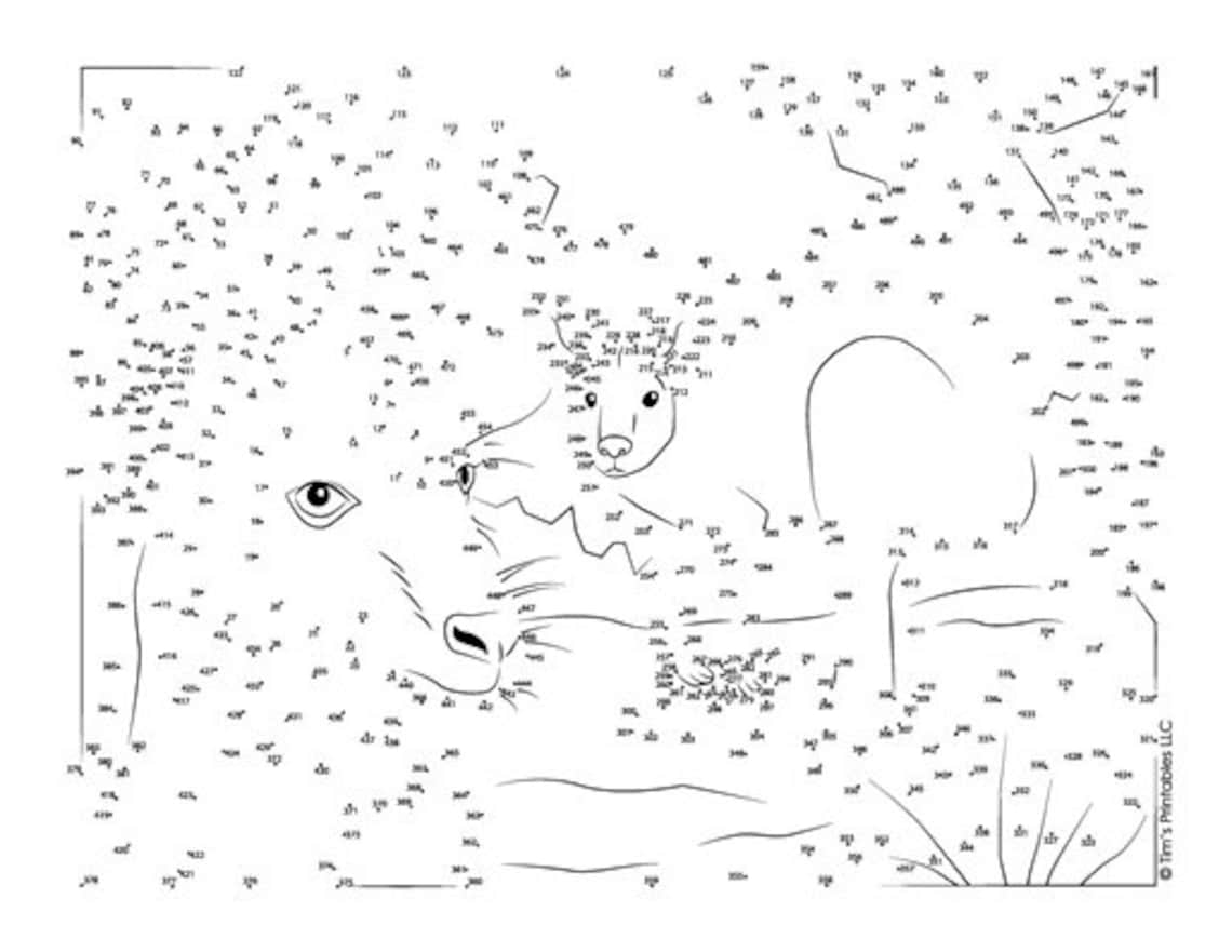 Animal Extreme Difficulty Dot-to-dot / Connect the Dots Vol. 2 PDF - Etsy