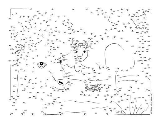 Animal Extreme Difficulty Dot-to-dot / Connect the Dots Vol. 2 PDF - Etsy