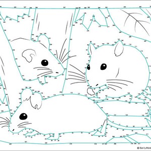 Mouse Extreme Difficulty Dot-to-dot / Connect the Dots PDF - Etsy