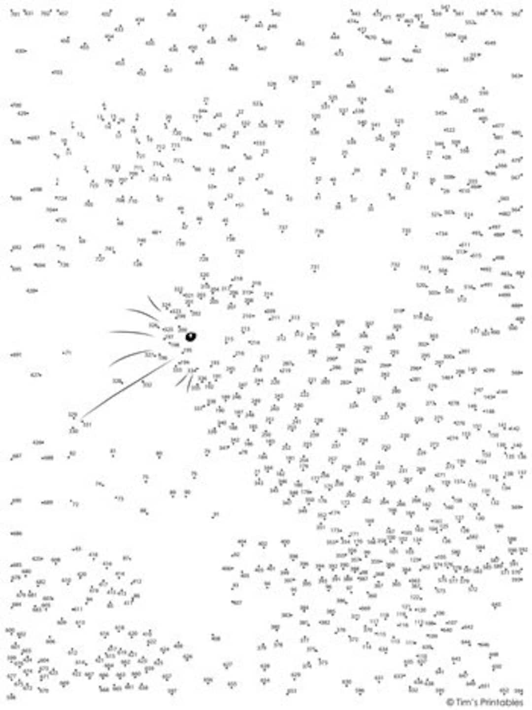 Kiwi Bird Extreme Difficulty Dot-to-dot / Connect the Dots PDF - Etsy