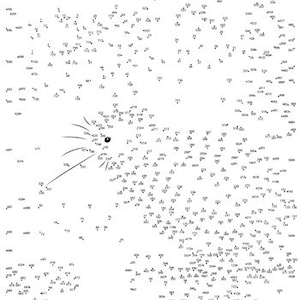 Kiwi Bird Extreme Difficulty Dot-to-dot / Connect the Dots PDF - Etsy