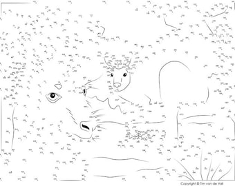 Triceratops Dot-to-dot / Connect the Dots 1250 Dots - Etsy