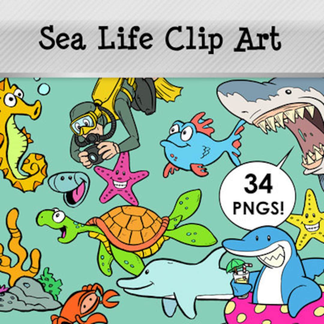 Sea Life Clip Art - 34 Royalty Free PNG Images for Commercial Use - Etsy