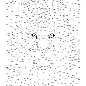 Animal Extreme Difficulty Dot-to-dot / Connect the Dots Vol. 4 PDF - Etsy