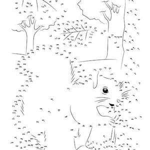 Animal Extreme Difficulty Dot-to-dot / Connect the Dots Vol. 3 PDF - Etsy