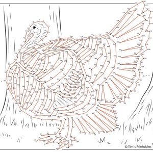 Turkey Dot-to-dot / Connect the Dots - 429 Dots - Etsy