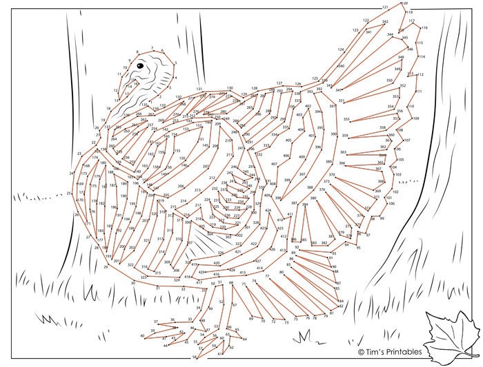 Turkey Dot-to-dot / Connect the Dots - 429 Dots - Etsy