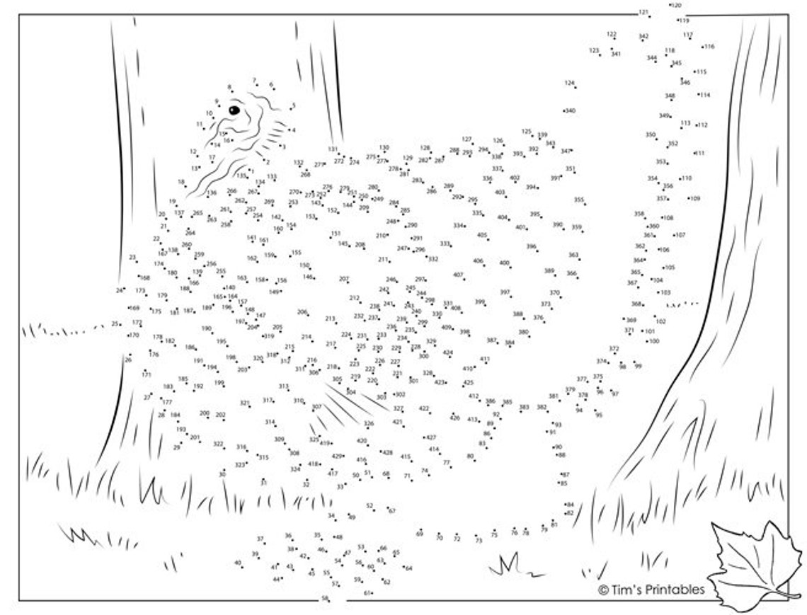 Turkey Dot-to-dot / Connect the Dots - 429 Dots - Etsy