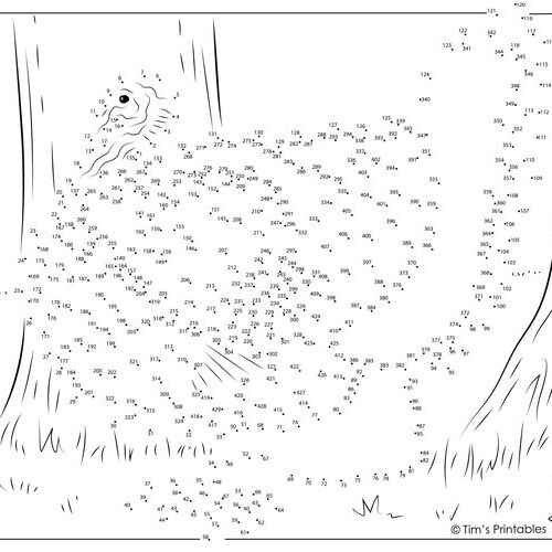 Alligator Pirate Dot-to-dot / Connect the Dots PDF 679 Dots - Etsy