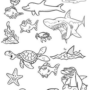 Sea Life Clip Art - 34 Royalty Free PNG Images for Commercial Use - Etsy