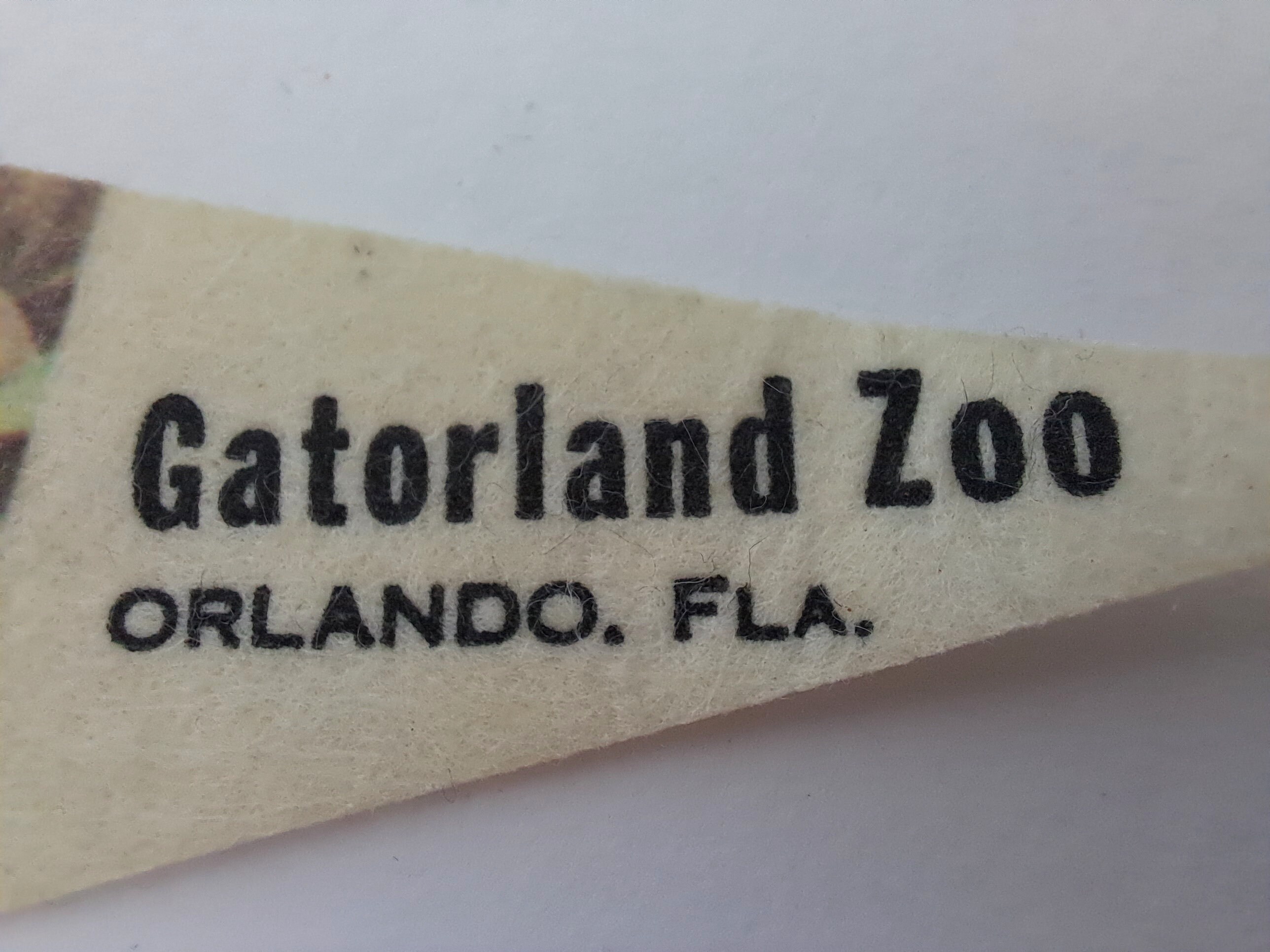 1980s Gatorland Zoo Orlando, Florida Vacation Gift Shop Souvenir ...