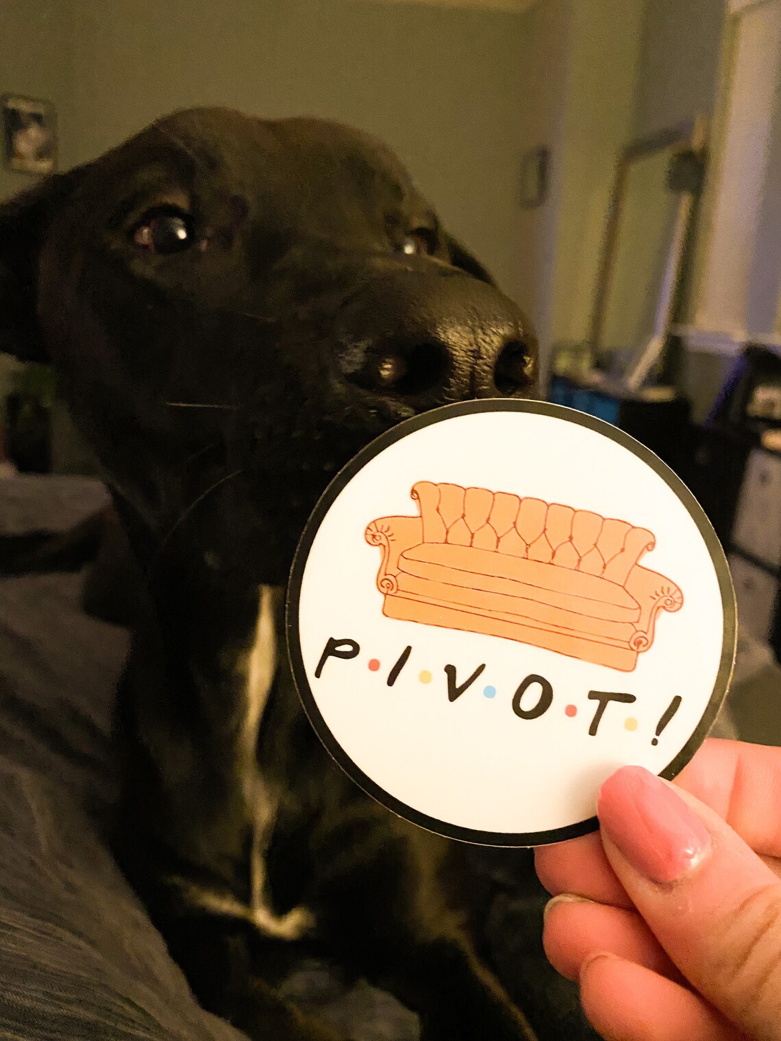 PIVOT Friends Sticker Ross Rachel Joey Chandler | Etsy