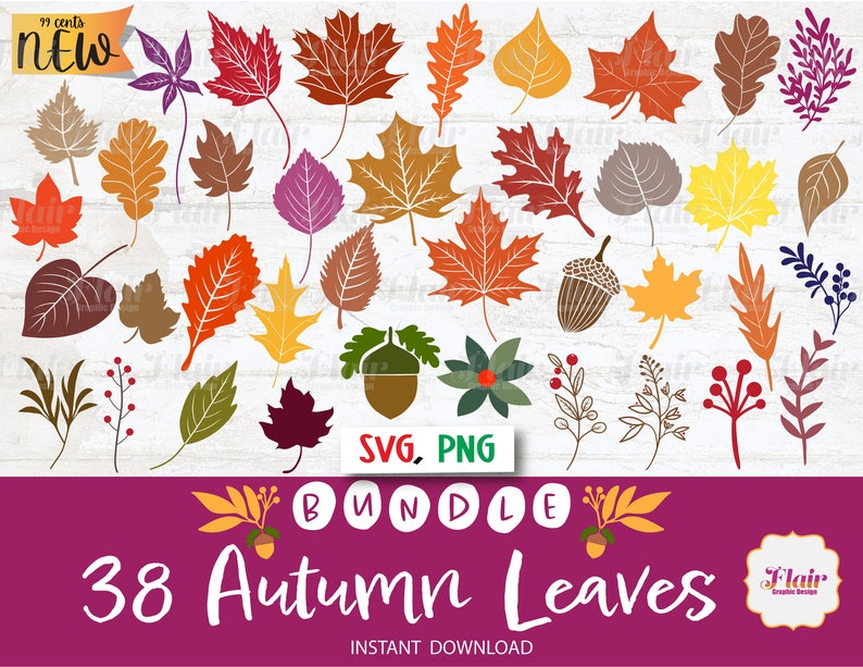 Autumn Leaves SVG PNG Bundle Digital Clipart Fall Leaf - Etsy