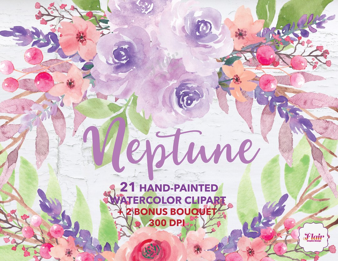 Neptune Roses Watercolor Flowers Clipart, Hand-painted Purple Roses ...