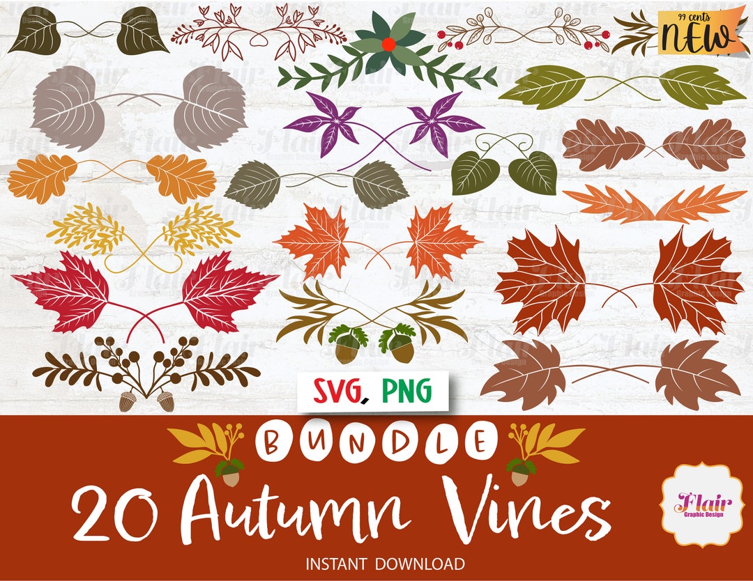 Autumn Vines SVG, PNG Bundle Digital Clipart, Fall Leaf Divider SVG ...