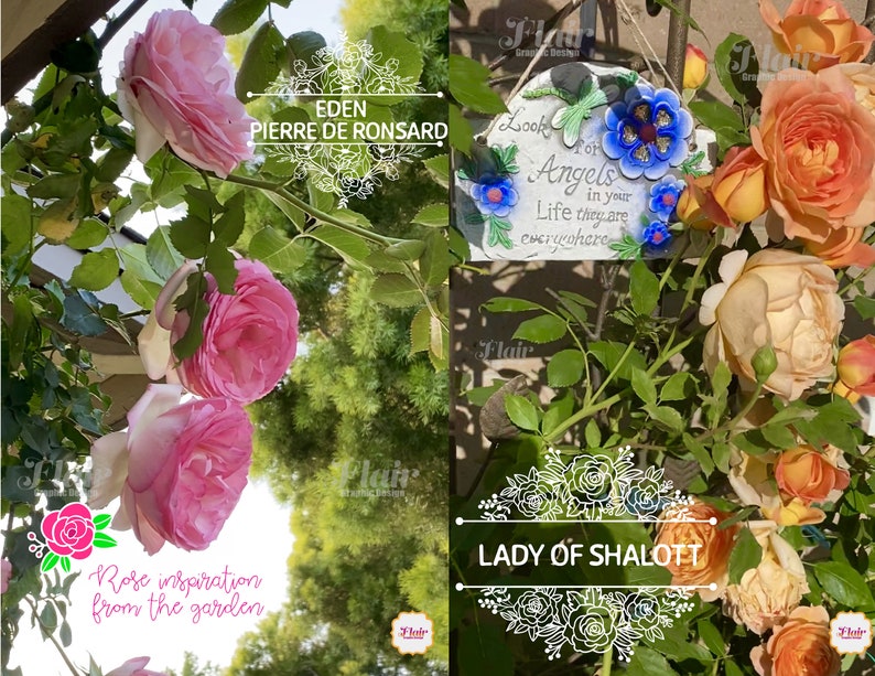 Roses Split Monograms SVG PNG DXF Bundle Series 2 Split - Etsy